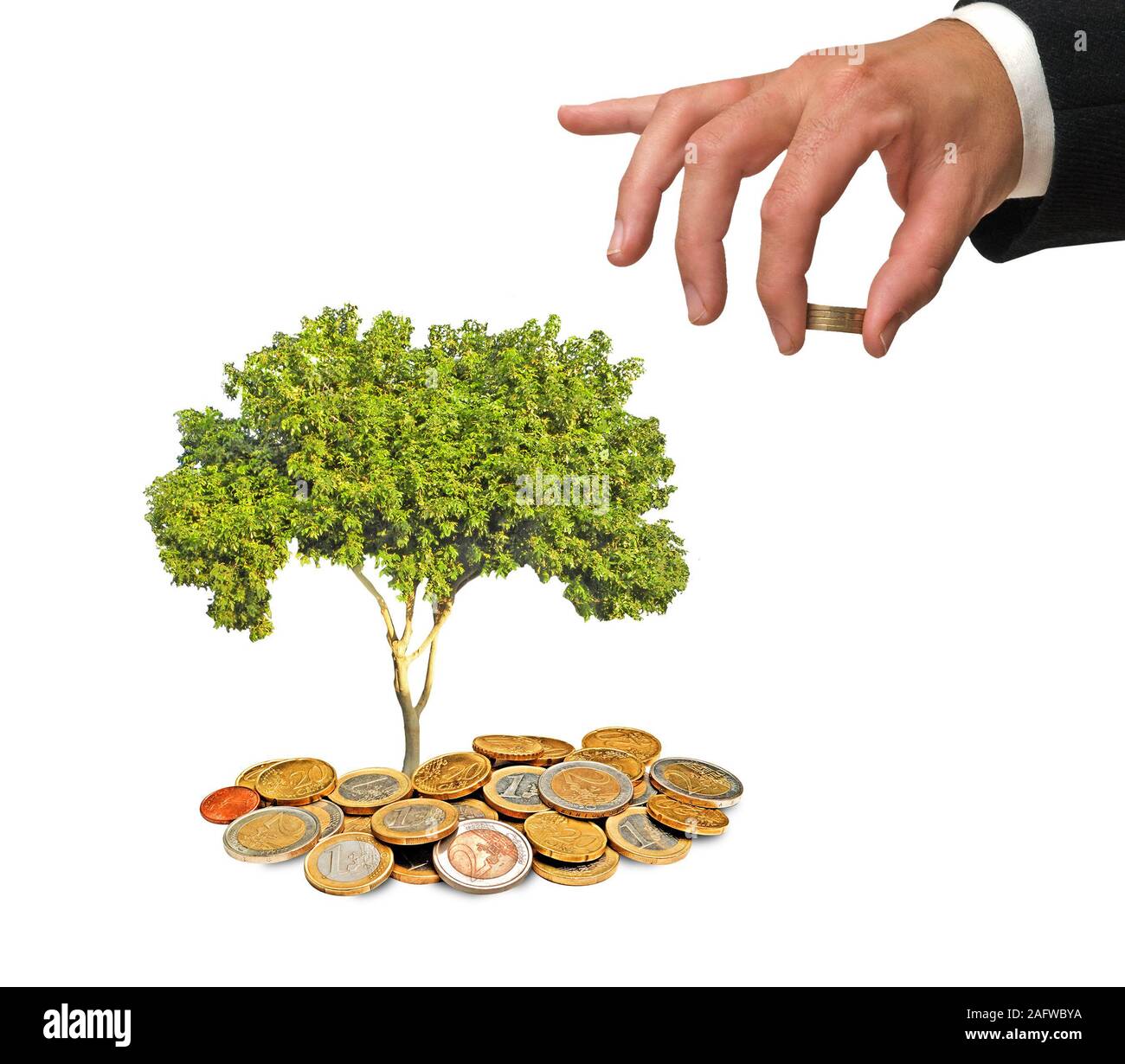 Tree growing from coins Stock Photo - Alamy