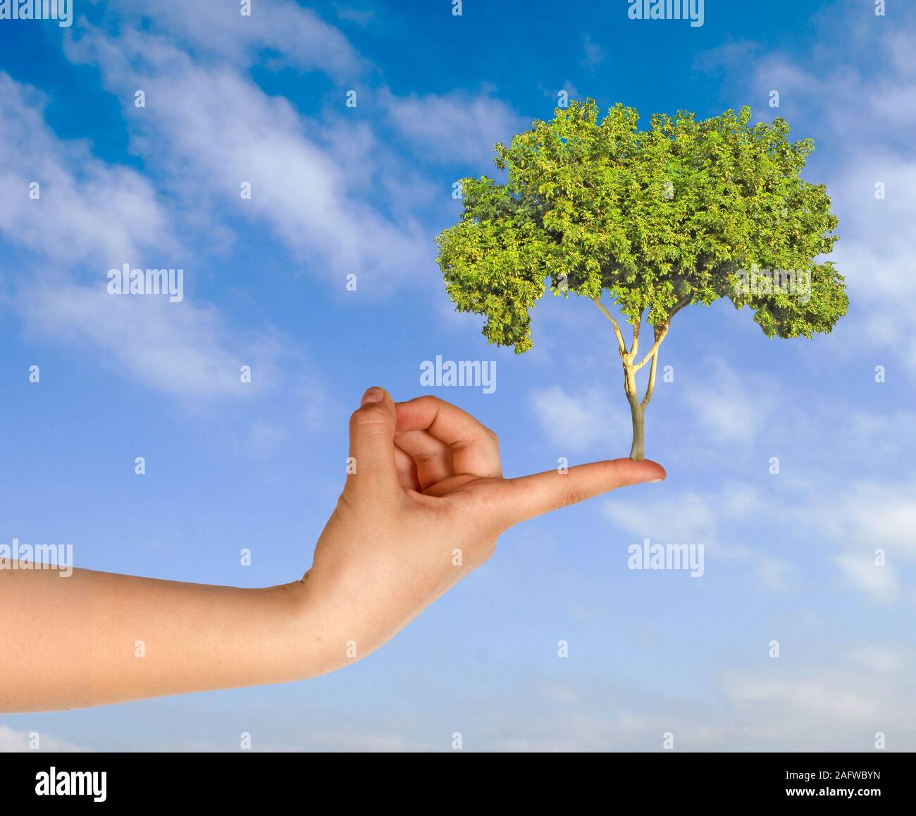 Tree on finger Stock Photo - Alamy