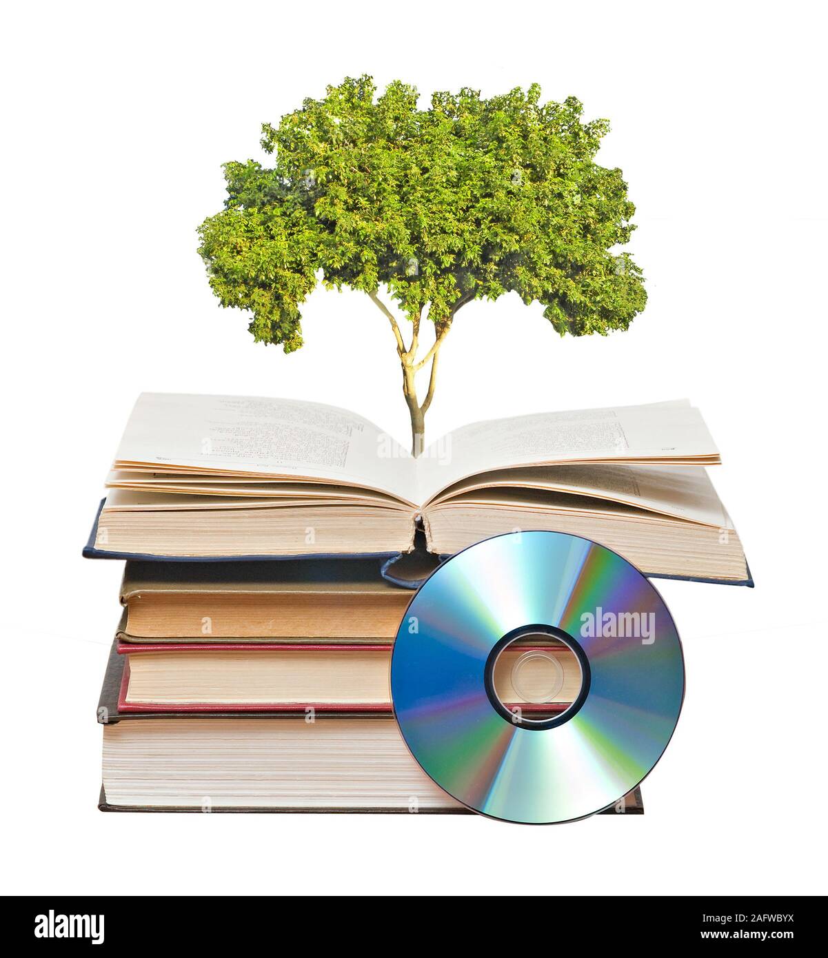 Tree growing from open book Stock Photo - Alamy