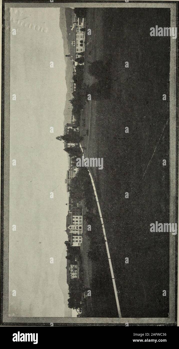 Delta sigma theta hi-res stock photography and images - Alamy