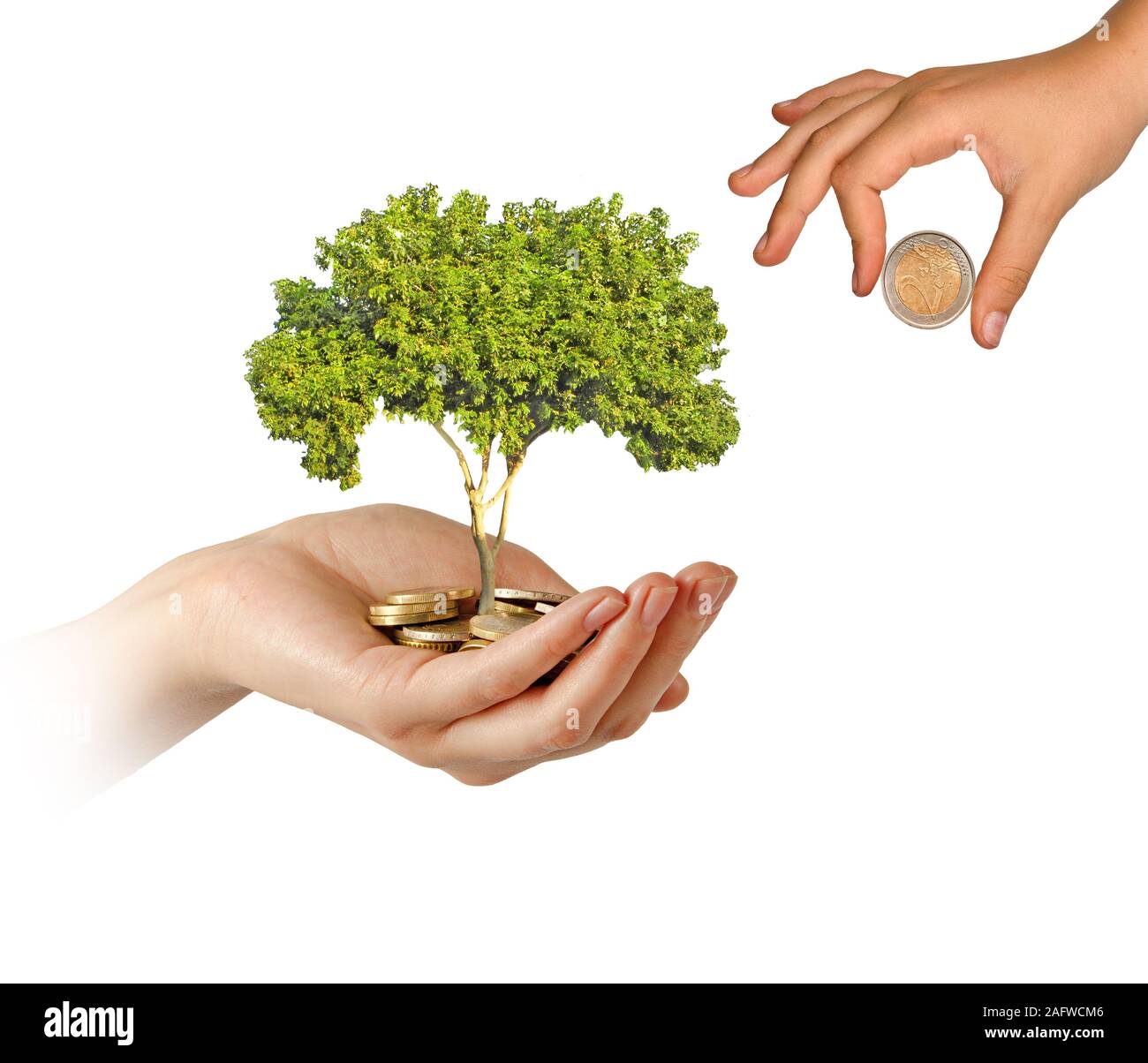 Palms with a tree growng from pile of coins Stock Photo - Alamy