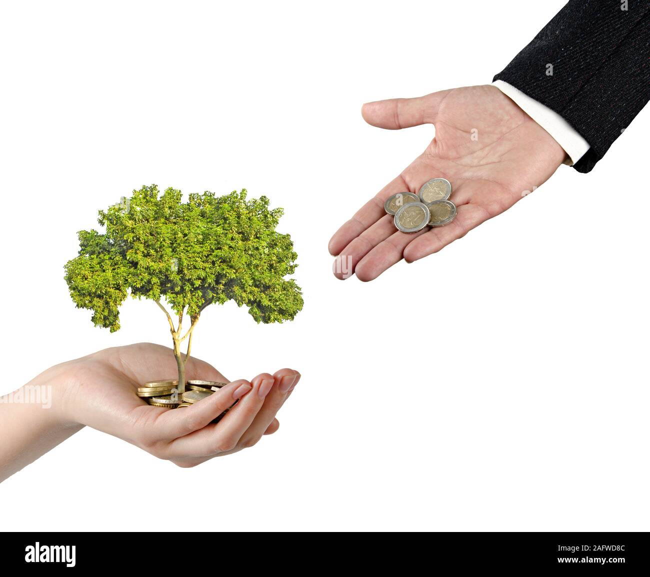 Palms with a tree growng from pile of coins Stock Photo - Alamy