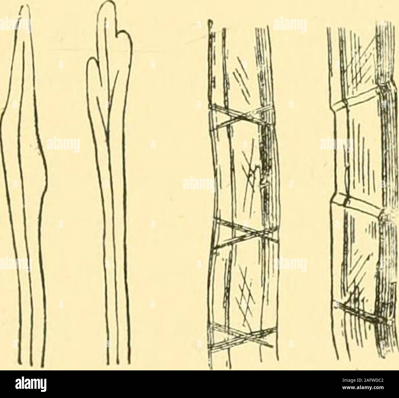 . Textile raw materials and their conversion into yarns : (the study of ...