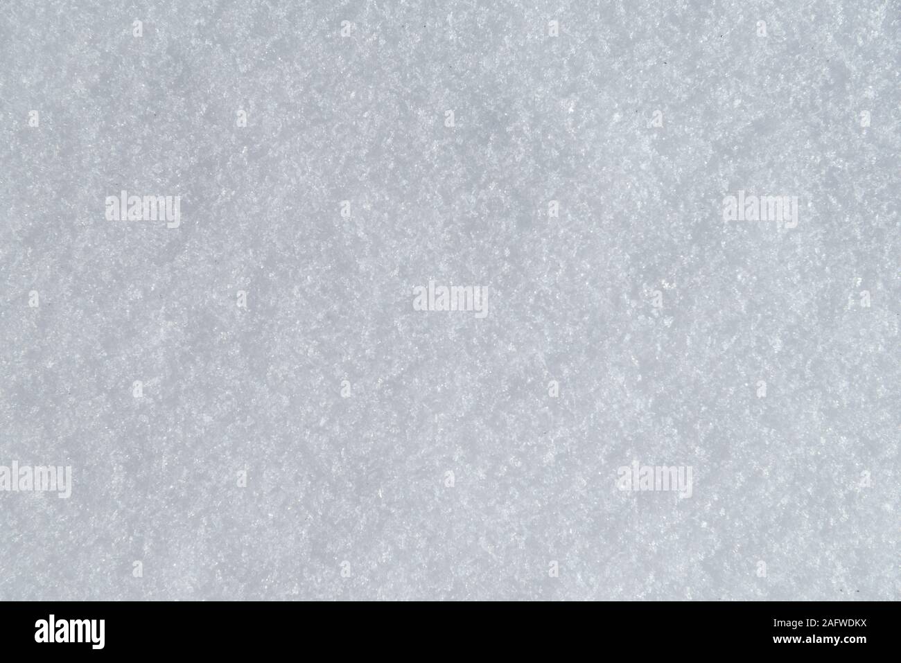 texture of beautiful white snow recently dropped out Stock Photo - Alamy