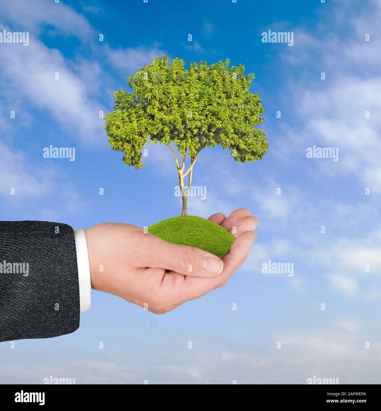 Tree in hand Stock Photo - Alamy