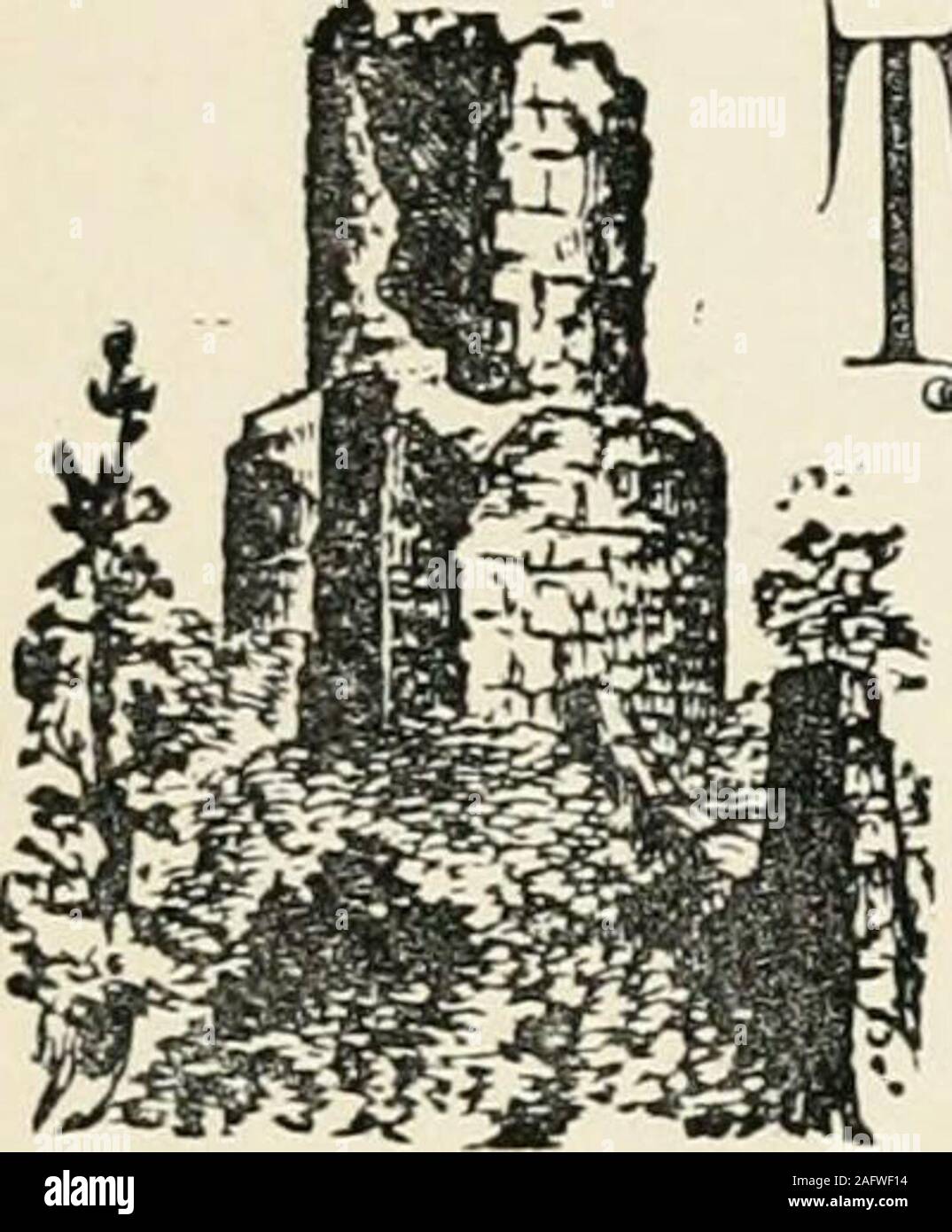 . Launceston, past and present; a historical and descriptive sketch. IV ...