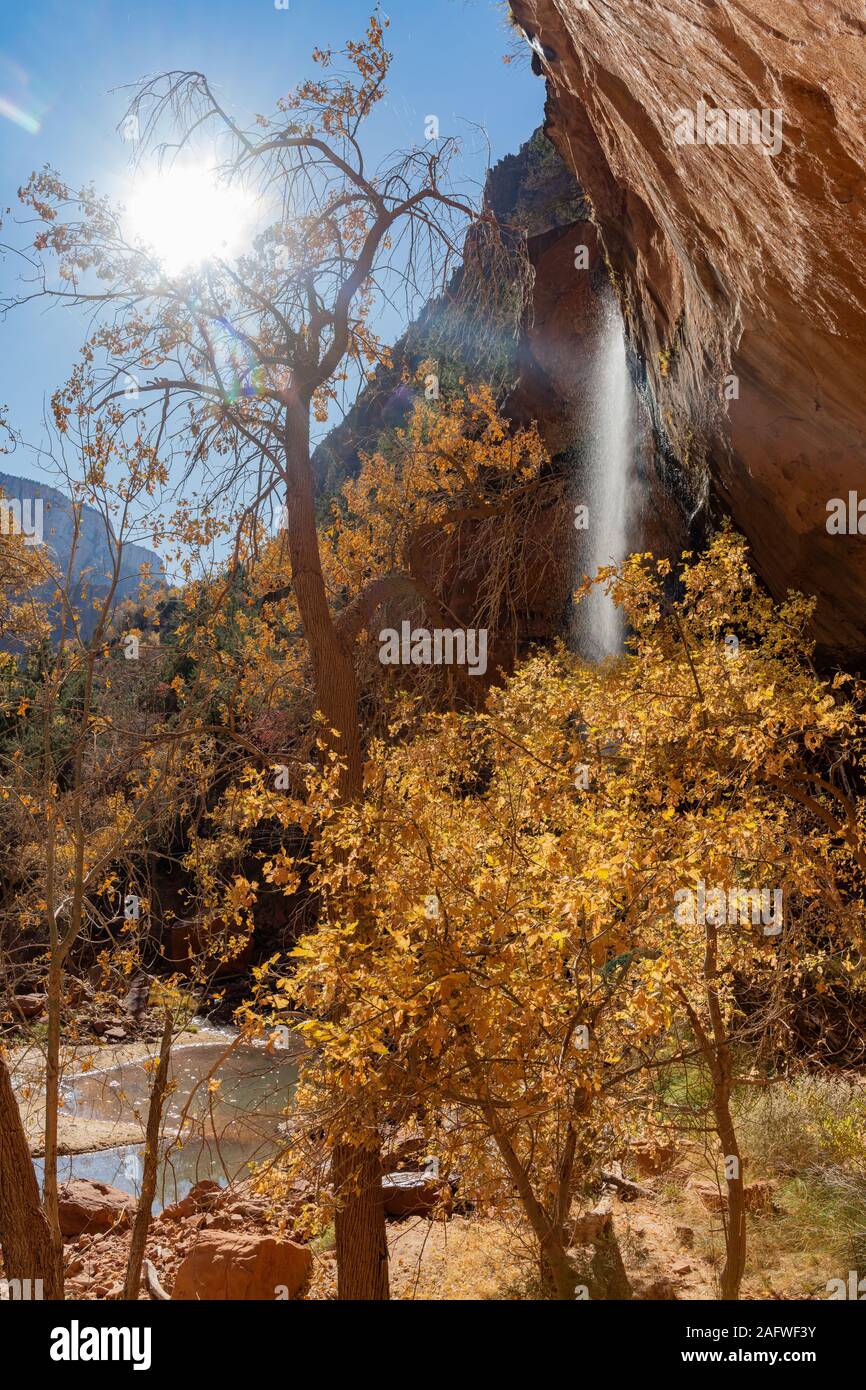 Beautiful lower Emerald Pools landscape around Zion National Park at Utah Stock Photo - Alamy
