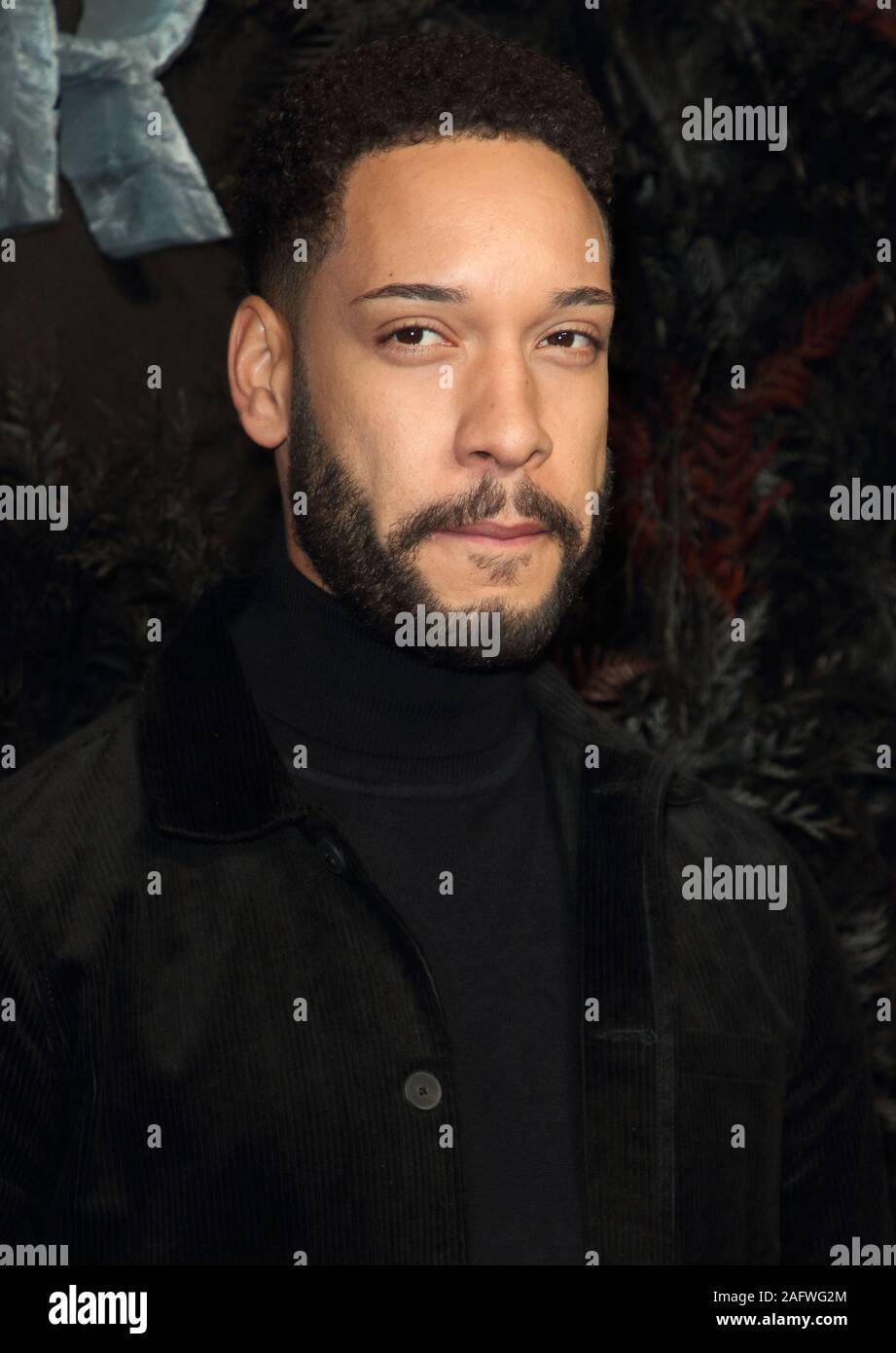 Royce Pierreson attends the world premiere of Netflix's The Witcher at ...