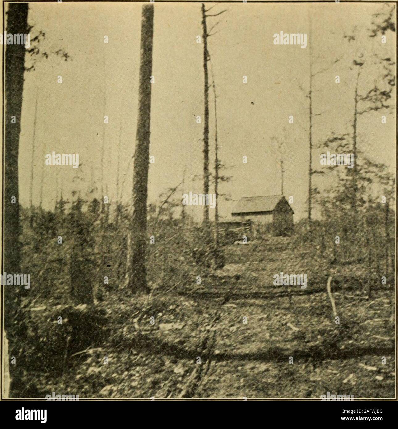 Manyhomes hi-res stock photography and images - Alamy