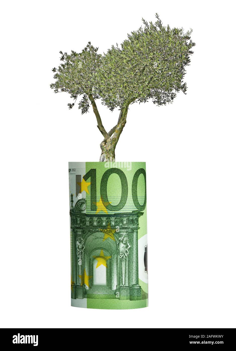 Olive tree growing from euro bill Stock Photo - Alamy