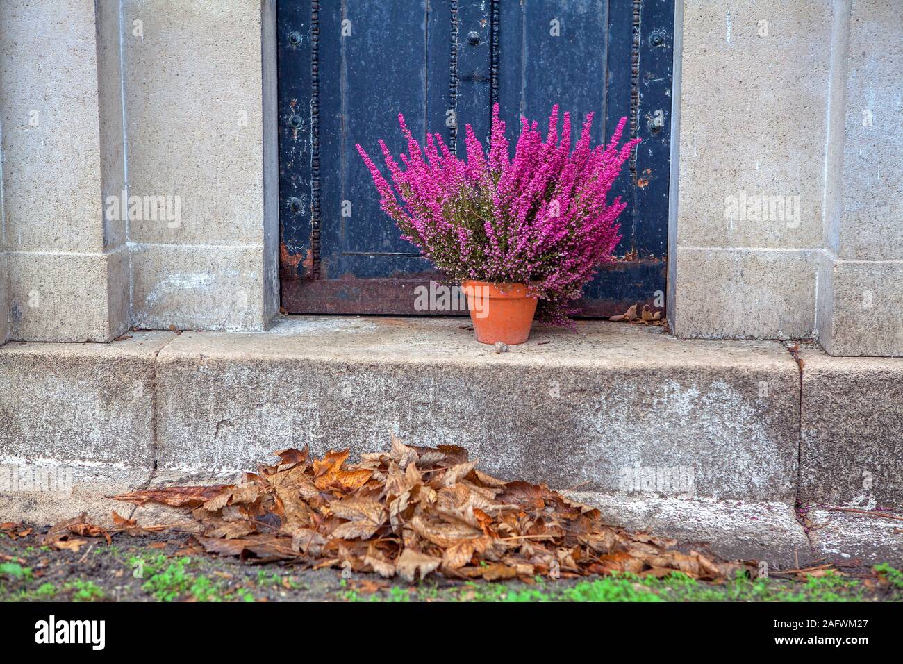 symbolic flowers at the tomb Stock Photo - Alamy