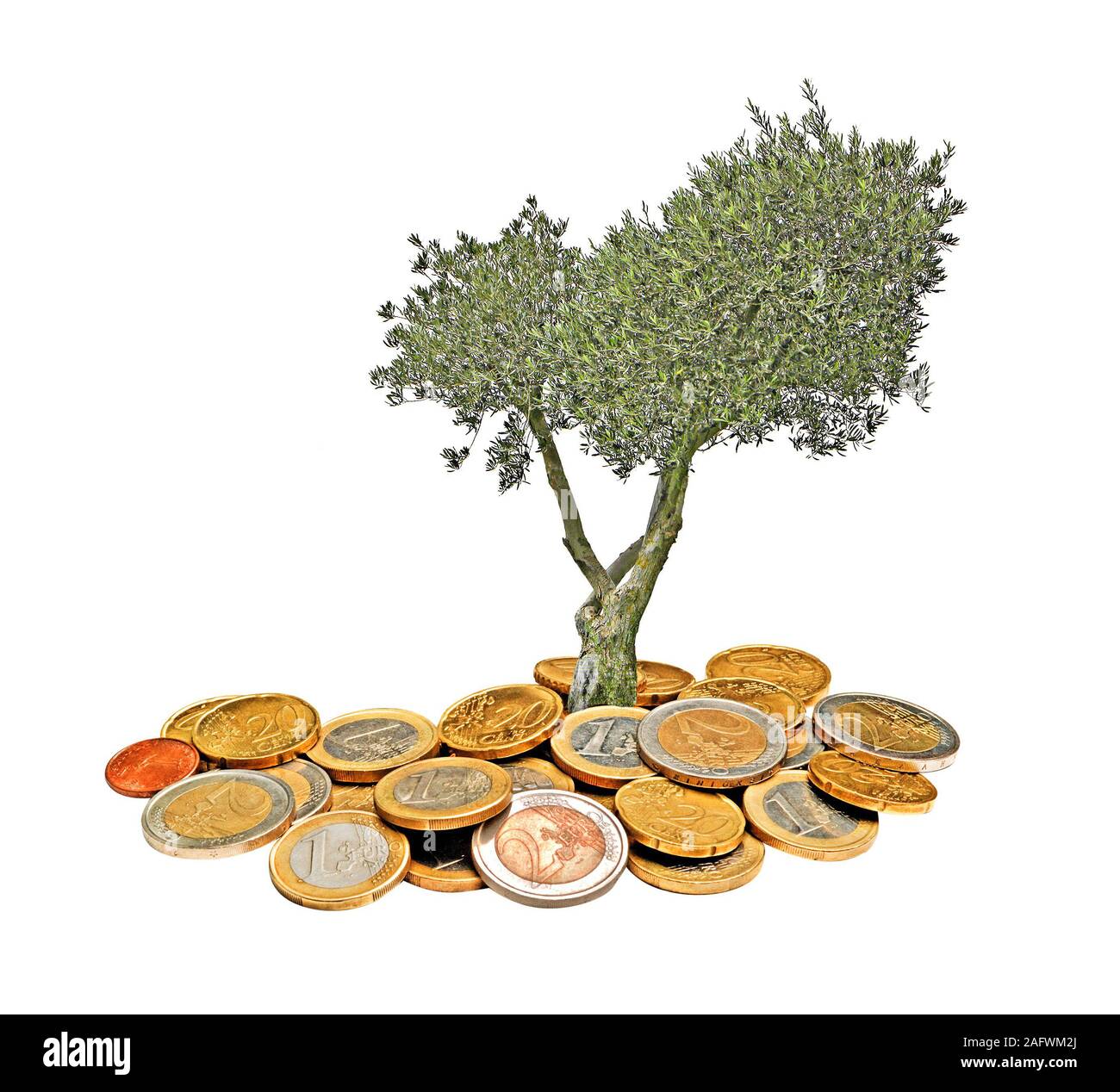 Olive tree growing from pile of coins Stock Photo - Alamy