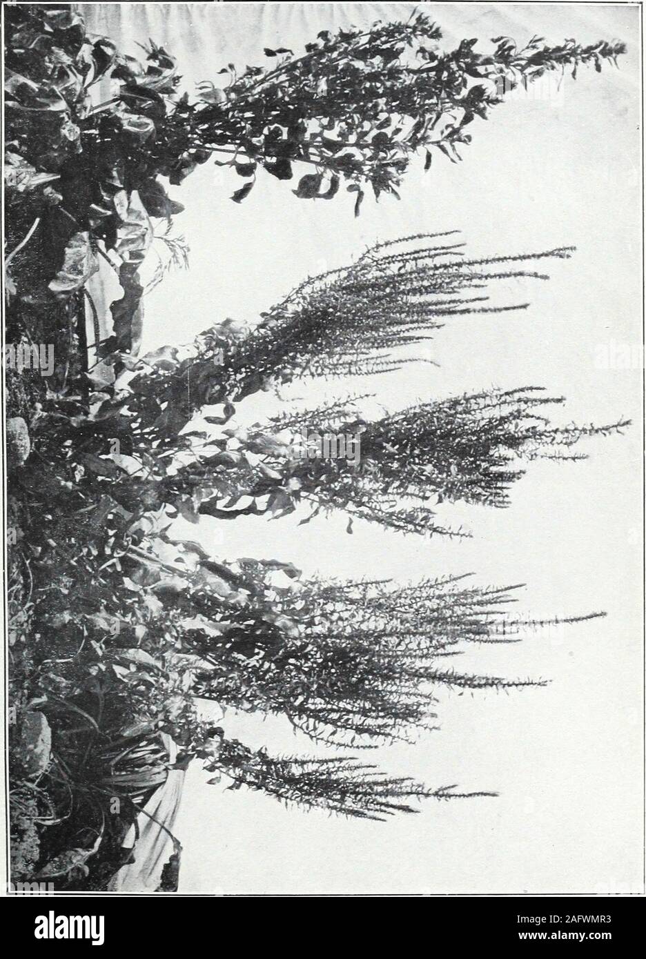 Parts of a bui hi-res stock photography and images - Alamy