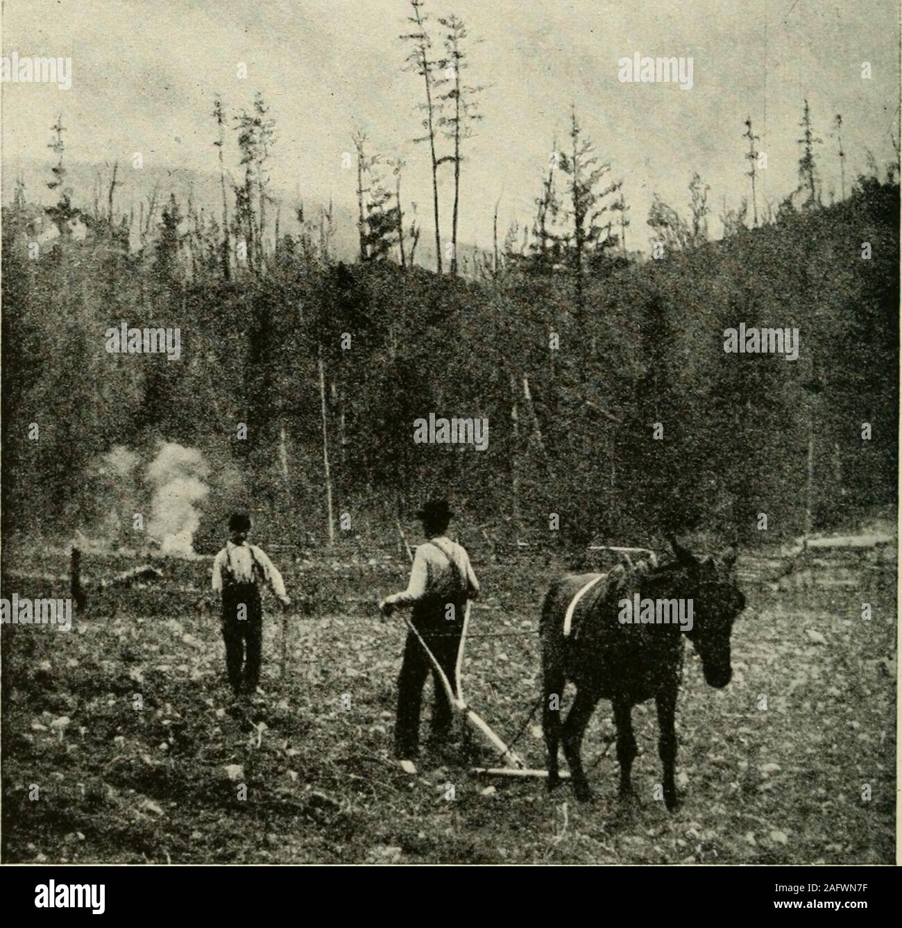 Illicit distilling hi-res stock photography and images - Alamy