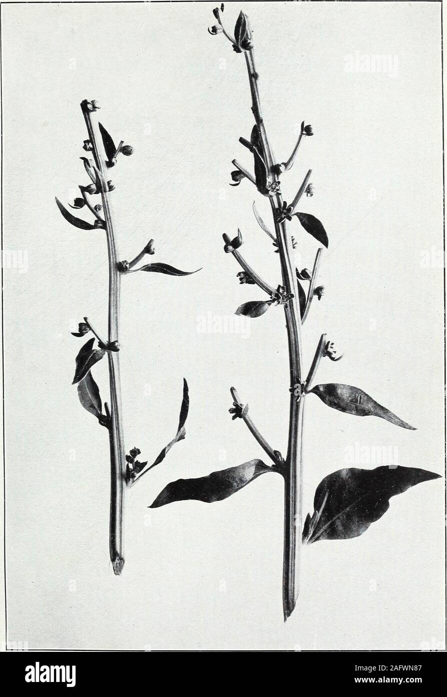 Parts of a bui hi-res stock photography and images - Alamy