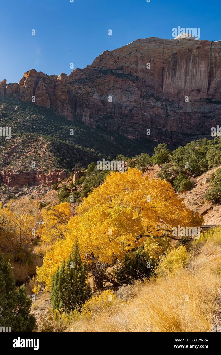Beautiful autumn landscape around Zion National Park at Utah Stock ...