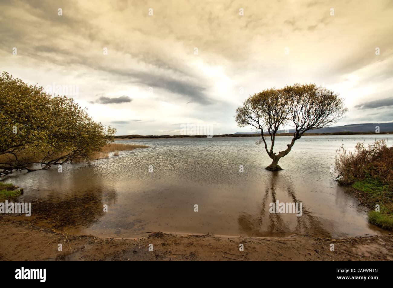 Kenfig hill pond hi-res stock photography and images - Alamy