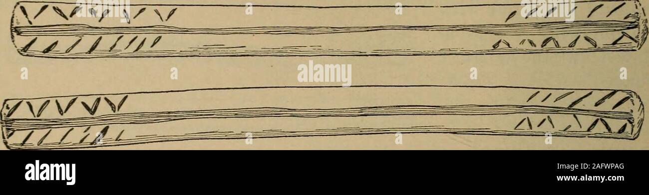 Curved awl hi-res stock photography and images - Alamy