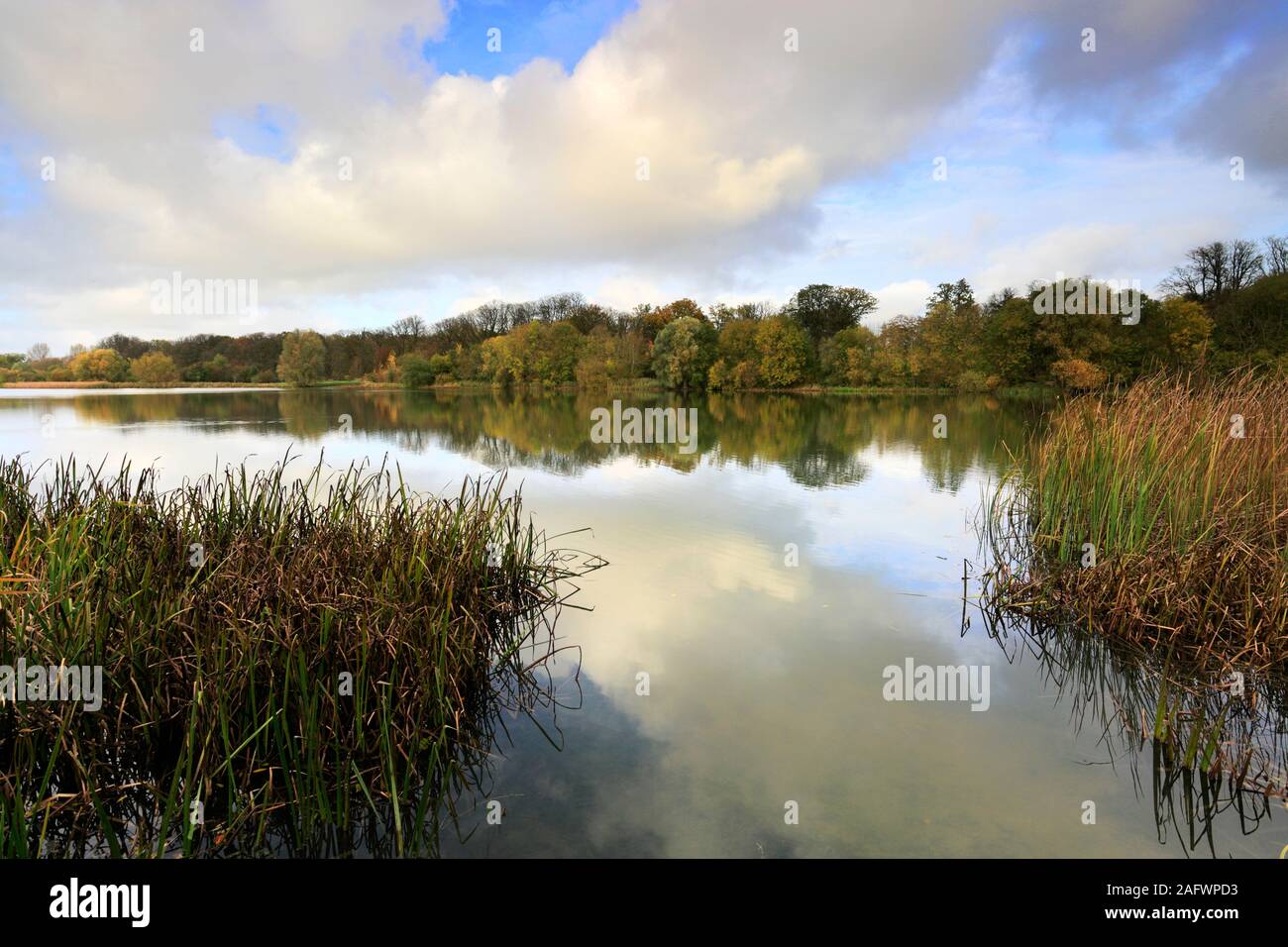 Autumn sunset over Hinchingbrooke Country Park, Huntingdon town ...