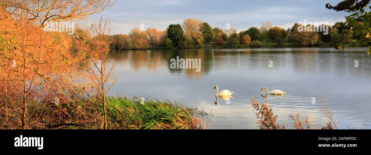Autumn sunset over Ferry Meadows country park, Peterborough ...
