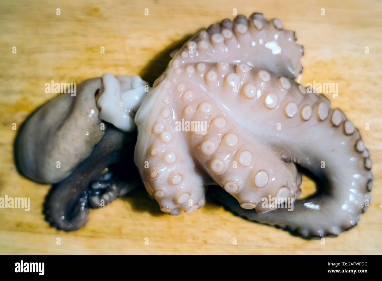 Mediterranean octopus stew hi-res stock photography and images - Alamy