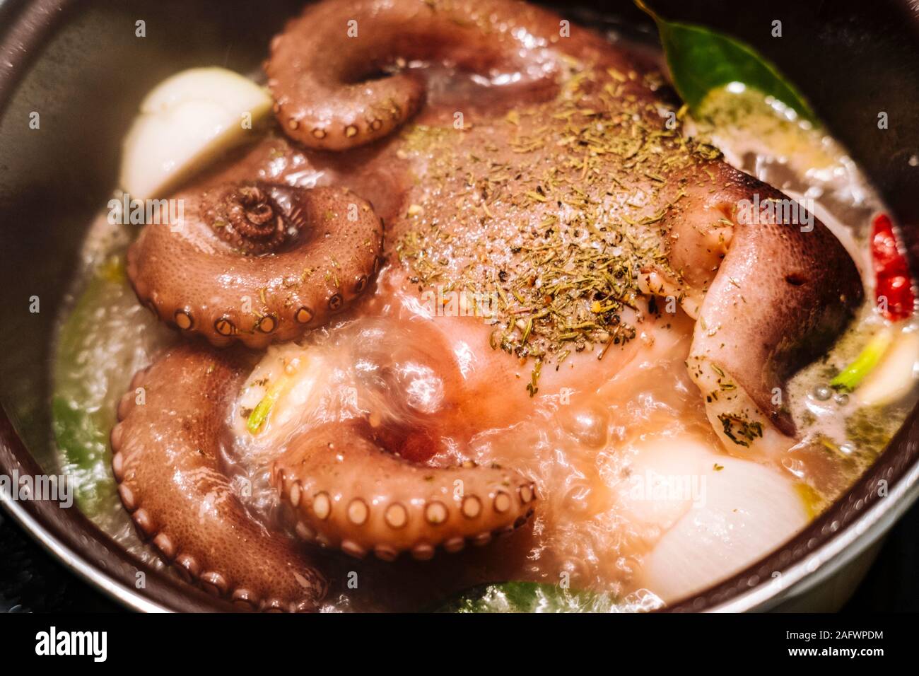 Tentacle octopus hi-res stock photography and images - Alamy