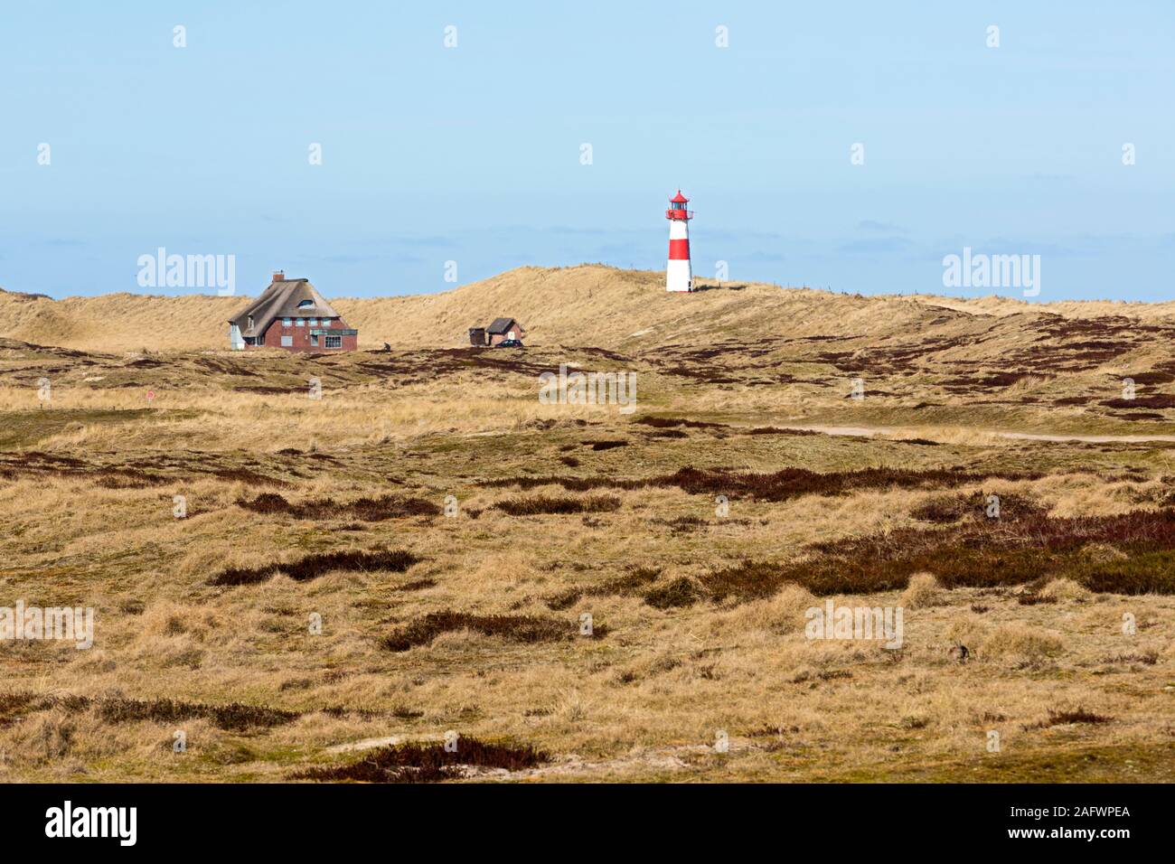 Sylt, Ellenbogen, Leuchtturm, Reetdachhaus Stock Photo - Alamy