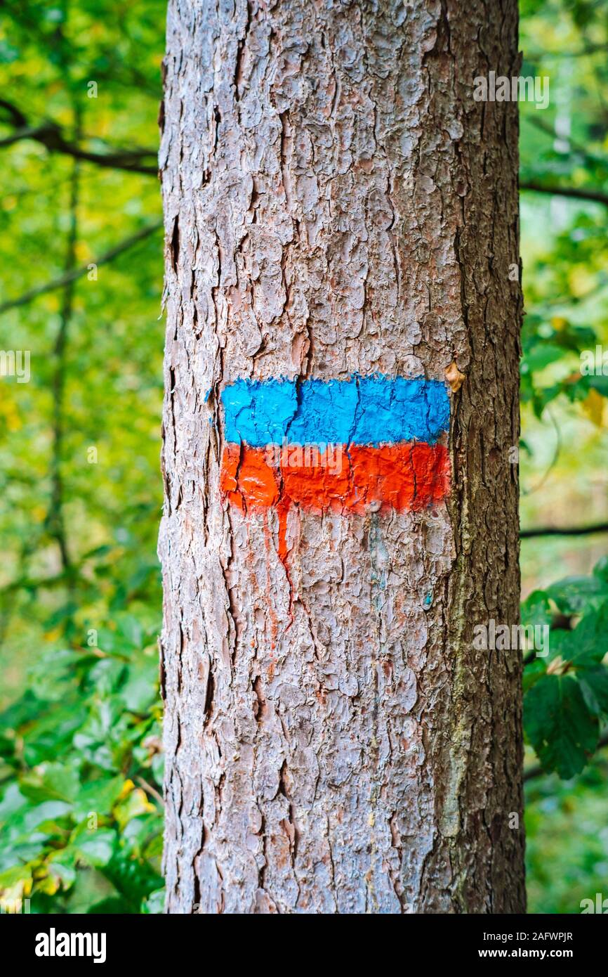 Waymark in a forest, Rhineland-Palatinate, Germany Stock Photo - Alamy