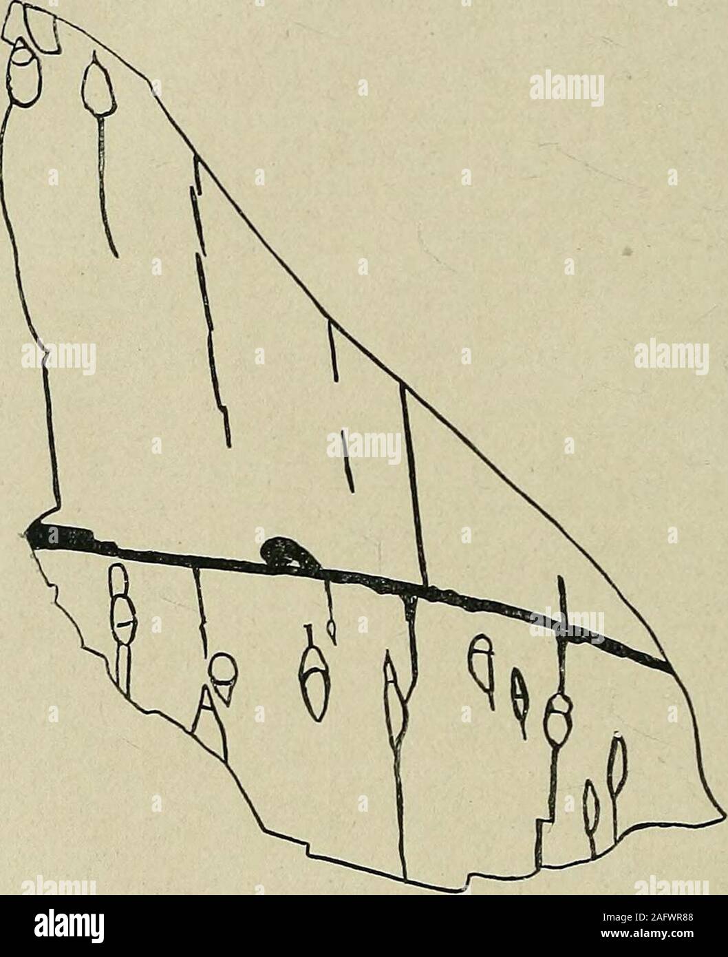 . The Quarterly journal of the Geological Society of London. ites ...