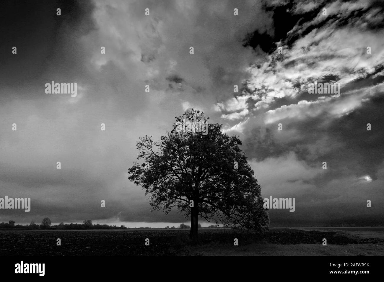 Storm special Black and White Stock Photos & Images - Alamy