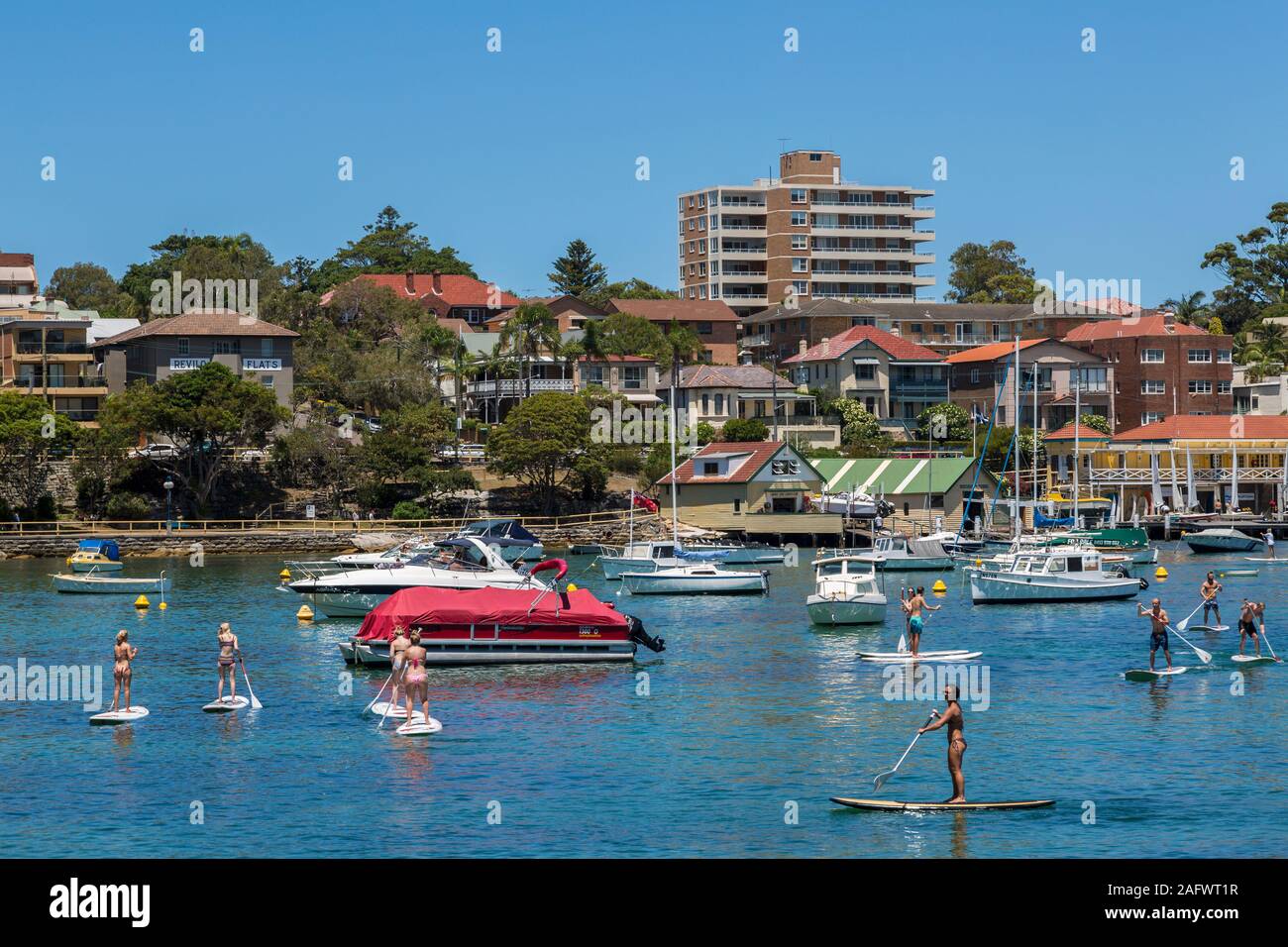 Paddle boarding, Manly harbour, Sydney, Australia Stock Photo - Alamy