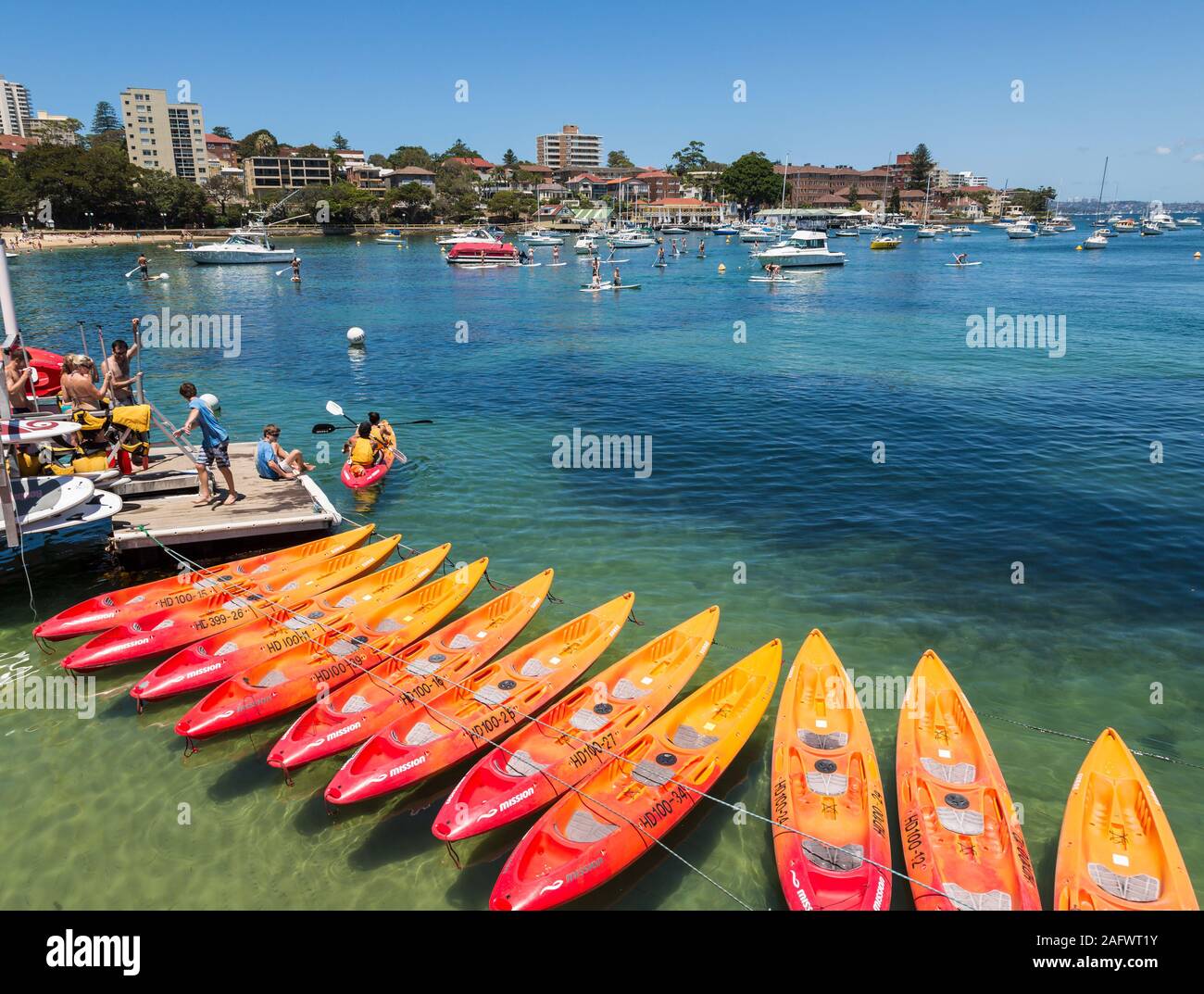 Paddle boarding, Manly harbour, Sydney, Australia Stock Photo - Alamy