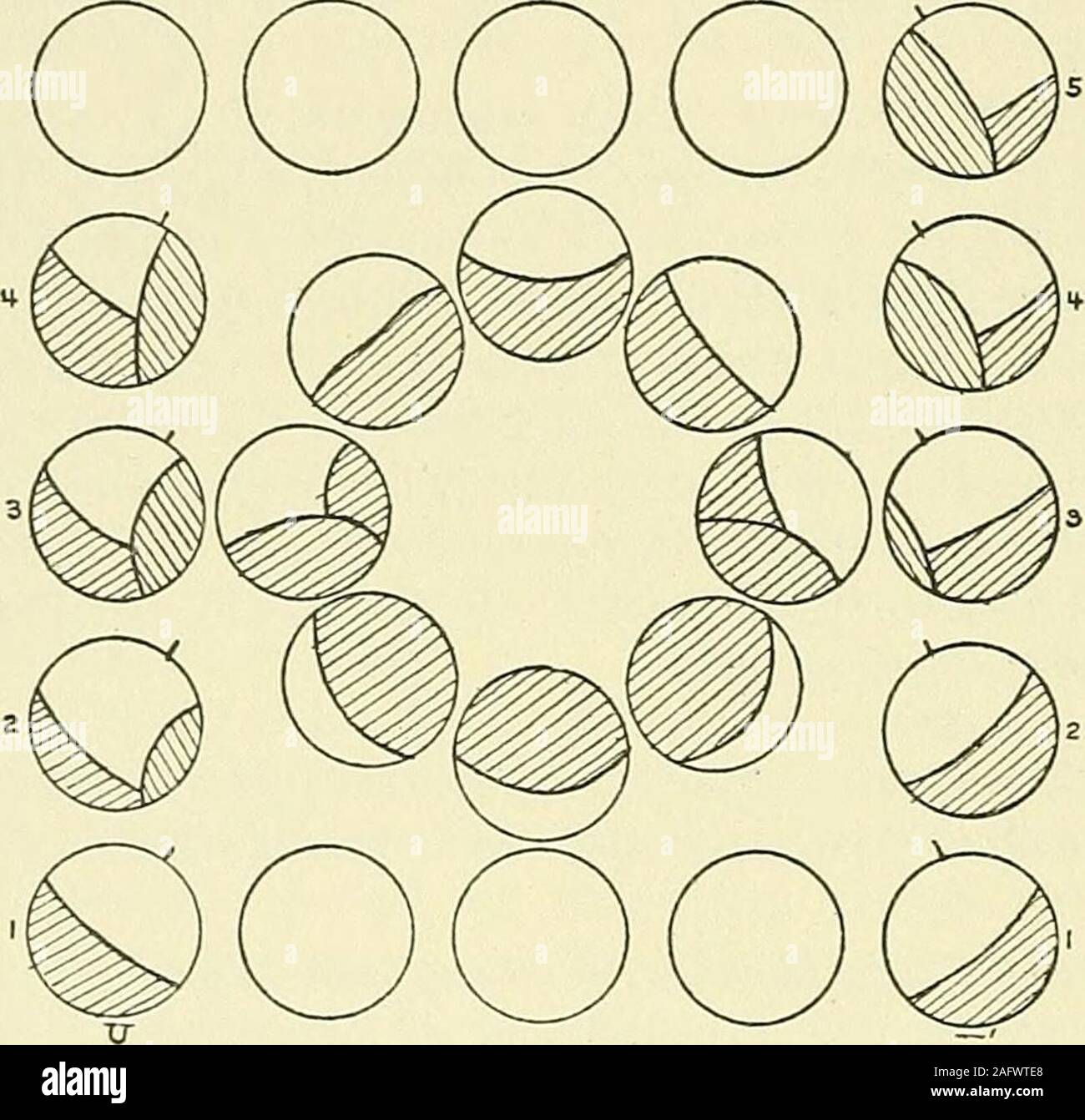 . Studies on hypertrophy and cancer of the prostate. .General health ...