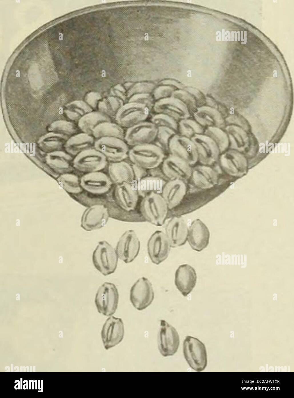 . The Saturday evening post. Puffed PuffedWheat Rice Puffed Corn Also ...