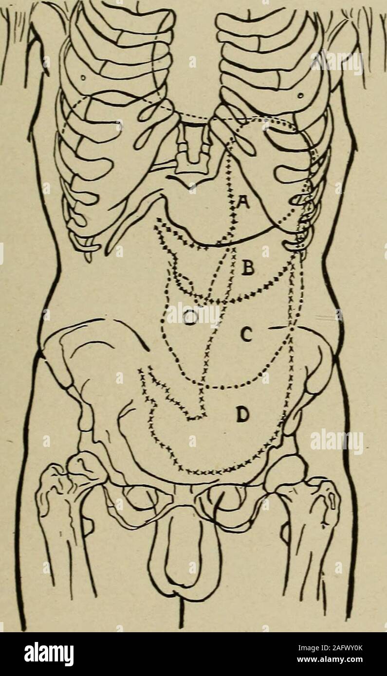 . Medical diagnosis for the student and practitioner. remains ...