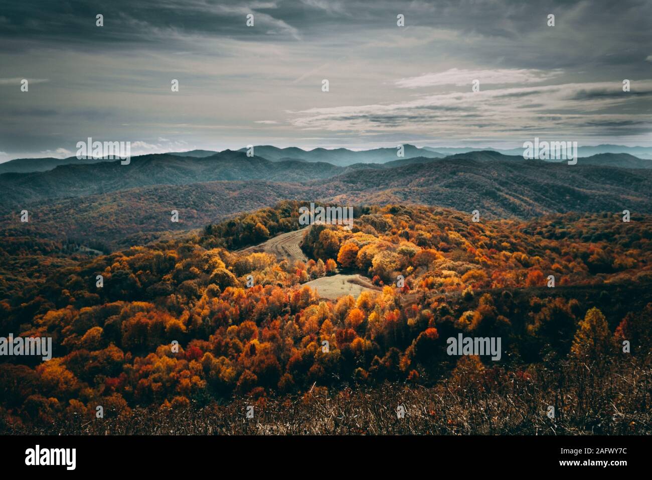 High angle shot of a colorful autumn forest under the gloomy sky Stock ...