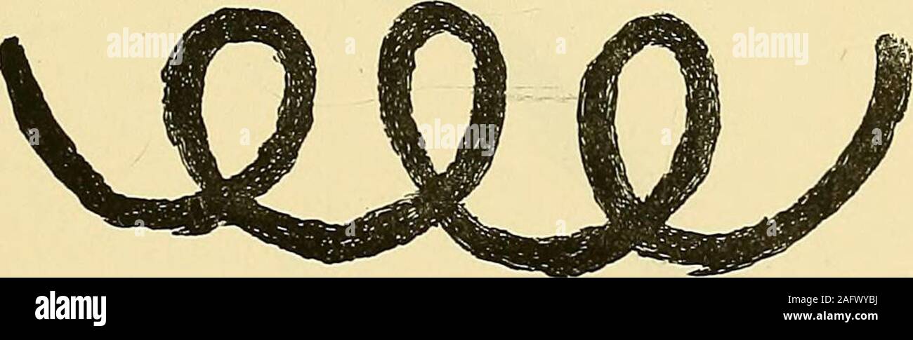 . Phantasms of the living. Mr Gurney and Miss Relph. No contact. No. 9 ...