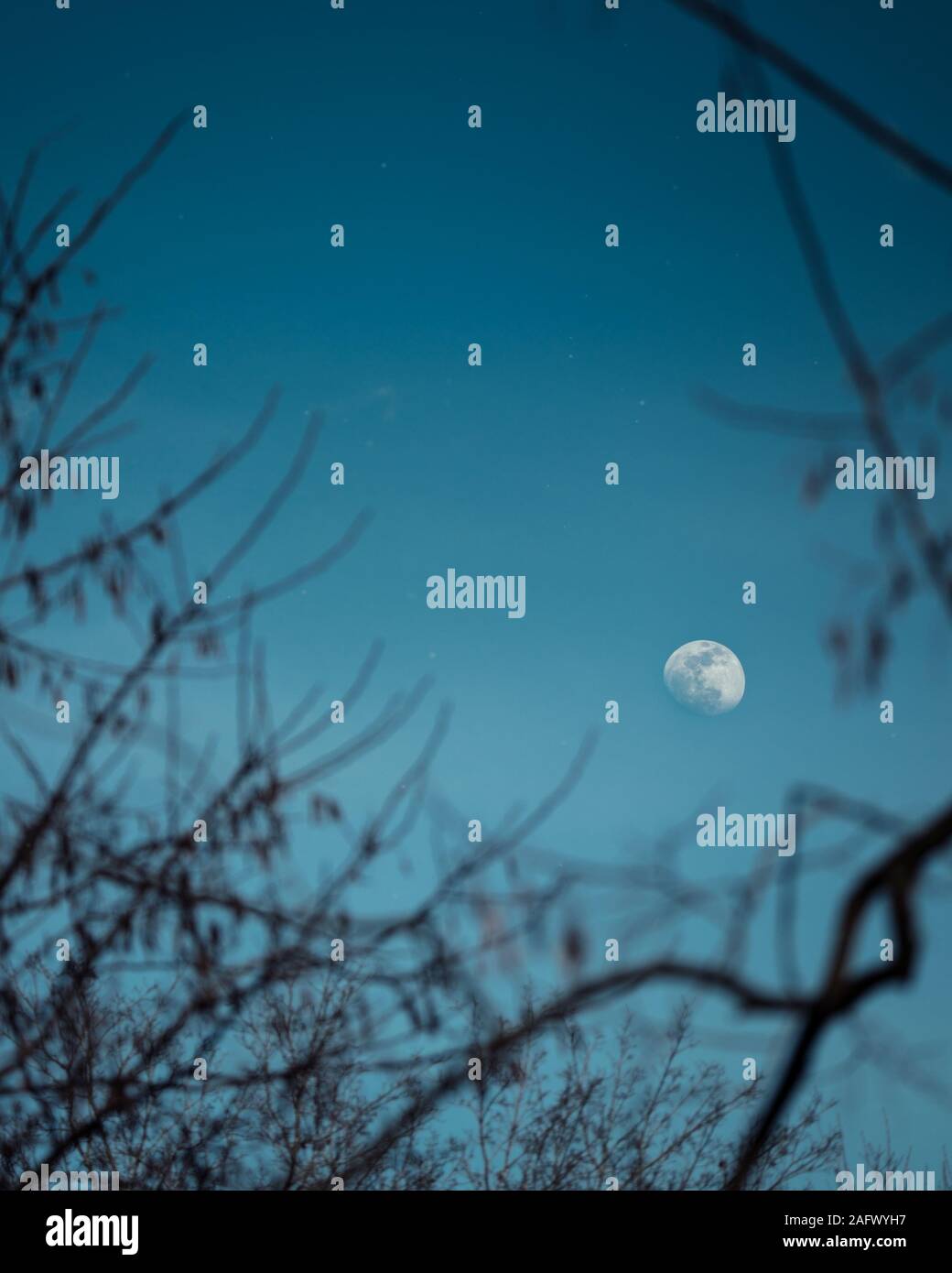 Moon out beautiful architecture hi-res stock photography and images - Alamy
