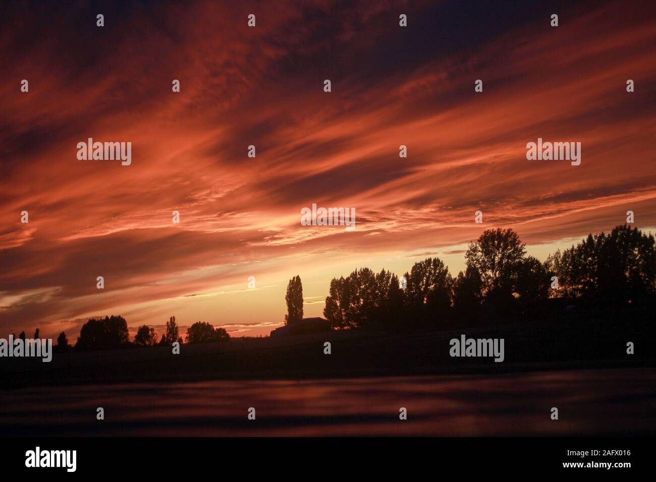 Beautiful view of trees under a red and orange cloudy sky Stock Photo ...