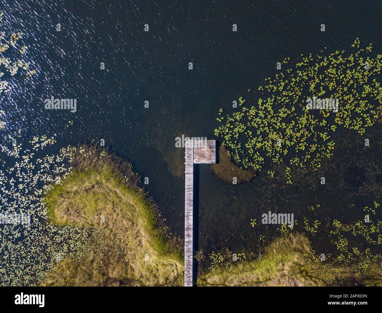 Aerial shot of a wooden pathway over the water near a grassy shore at ...