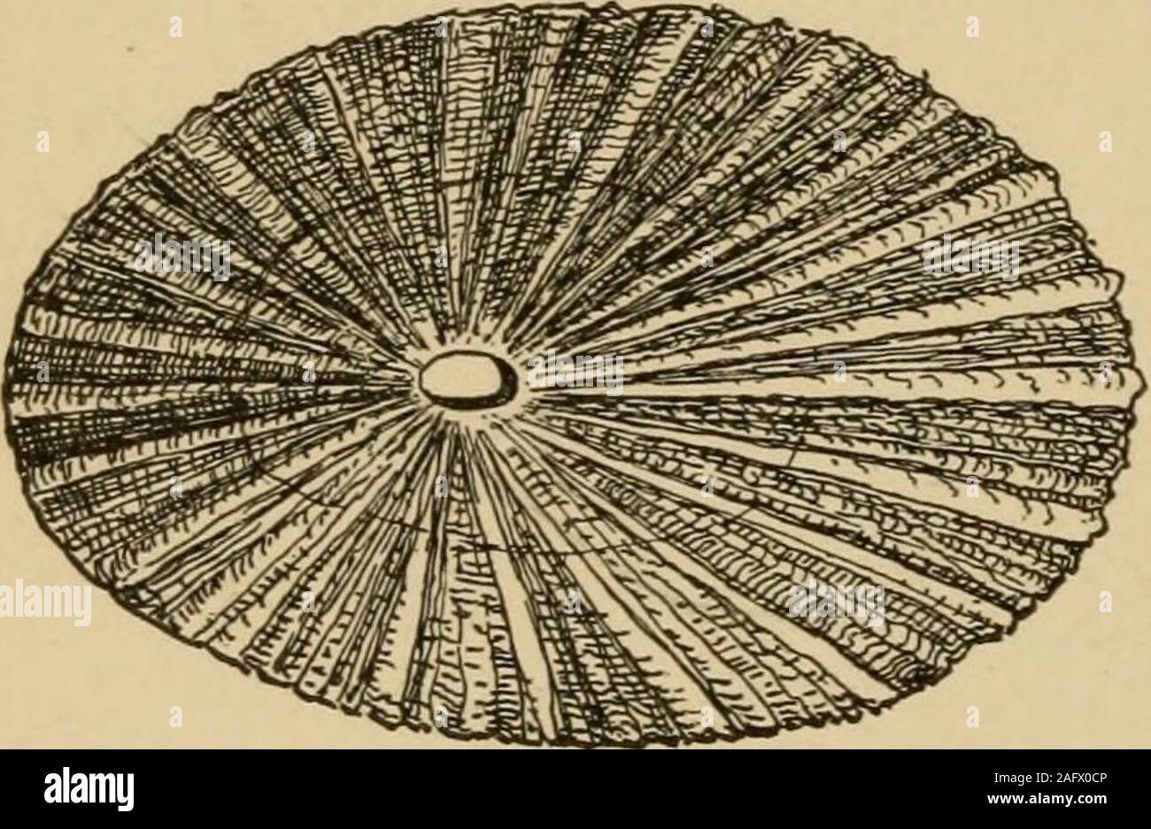 Bsch High Resolution Stock Photography and Images - Alamy