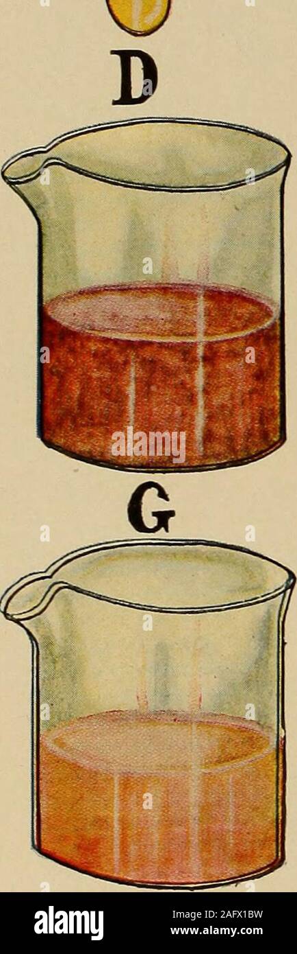 . Medical diagnosis for the student and practitioner. acid be present ...