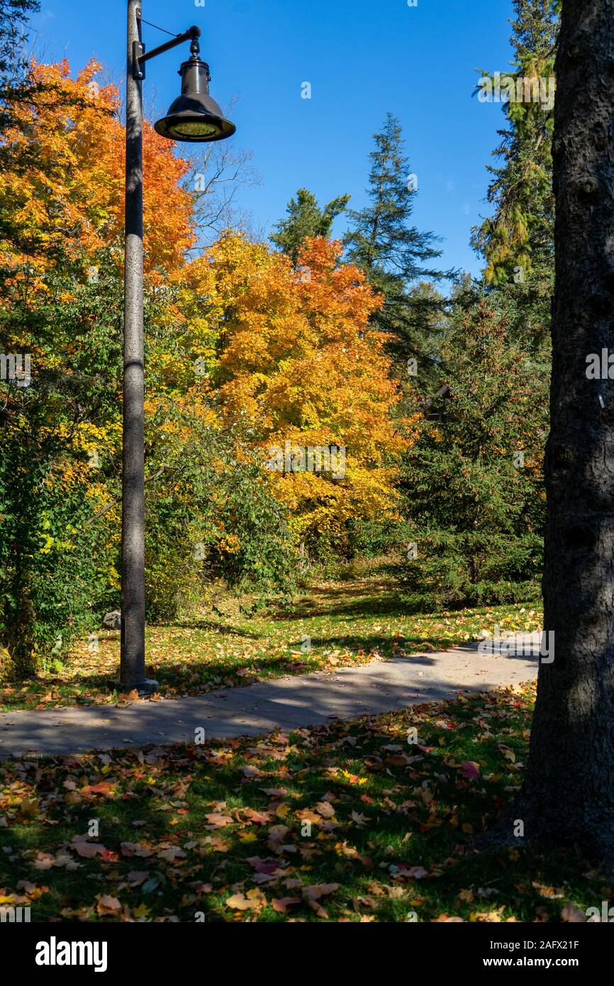 Park surrounded by colorful trees near a pathway with a street lamp on ...