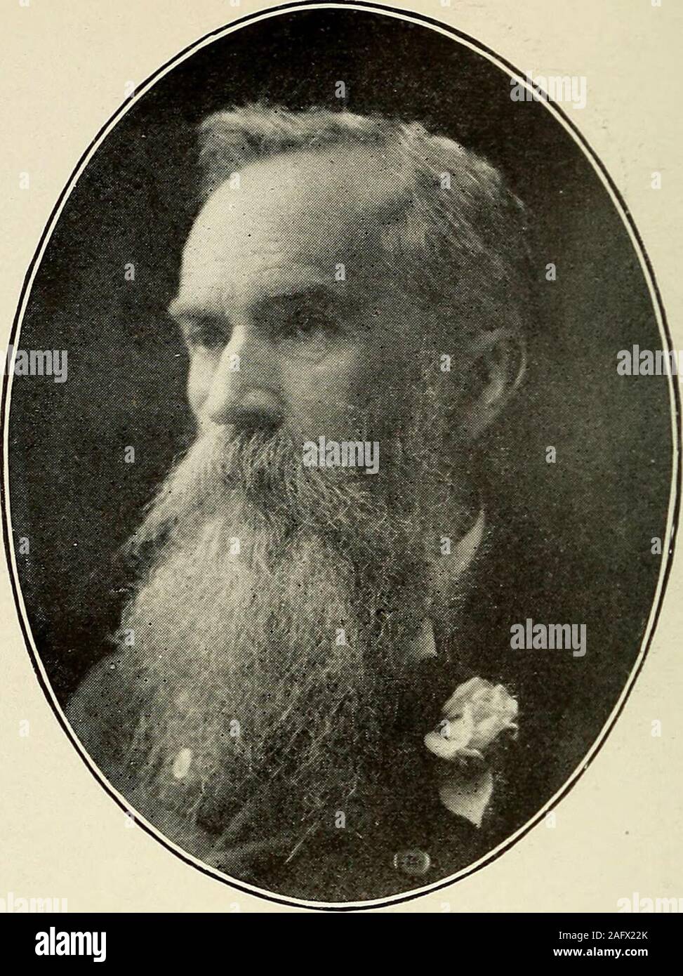 Kelly 2d hi-res stock photography and images - Alamy