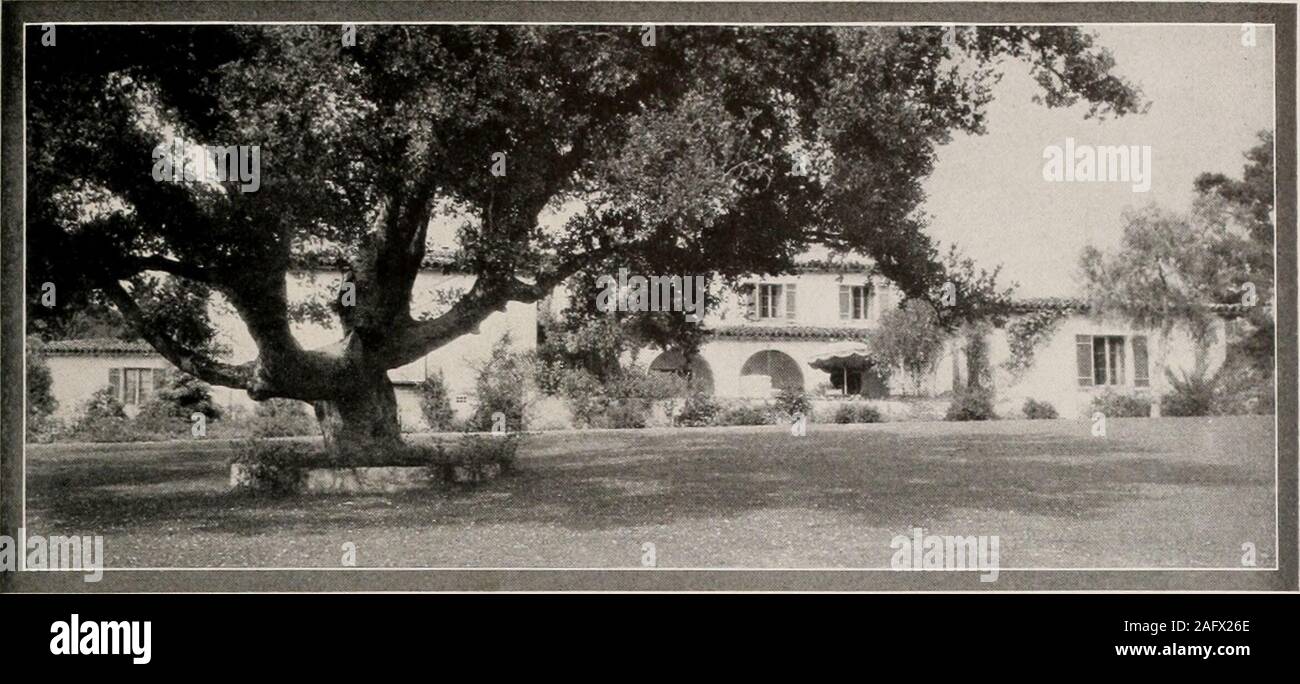 . Architect and engineer. ENTRANCE HALL. HOUSE OF J. HENRY BEHRENS ...