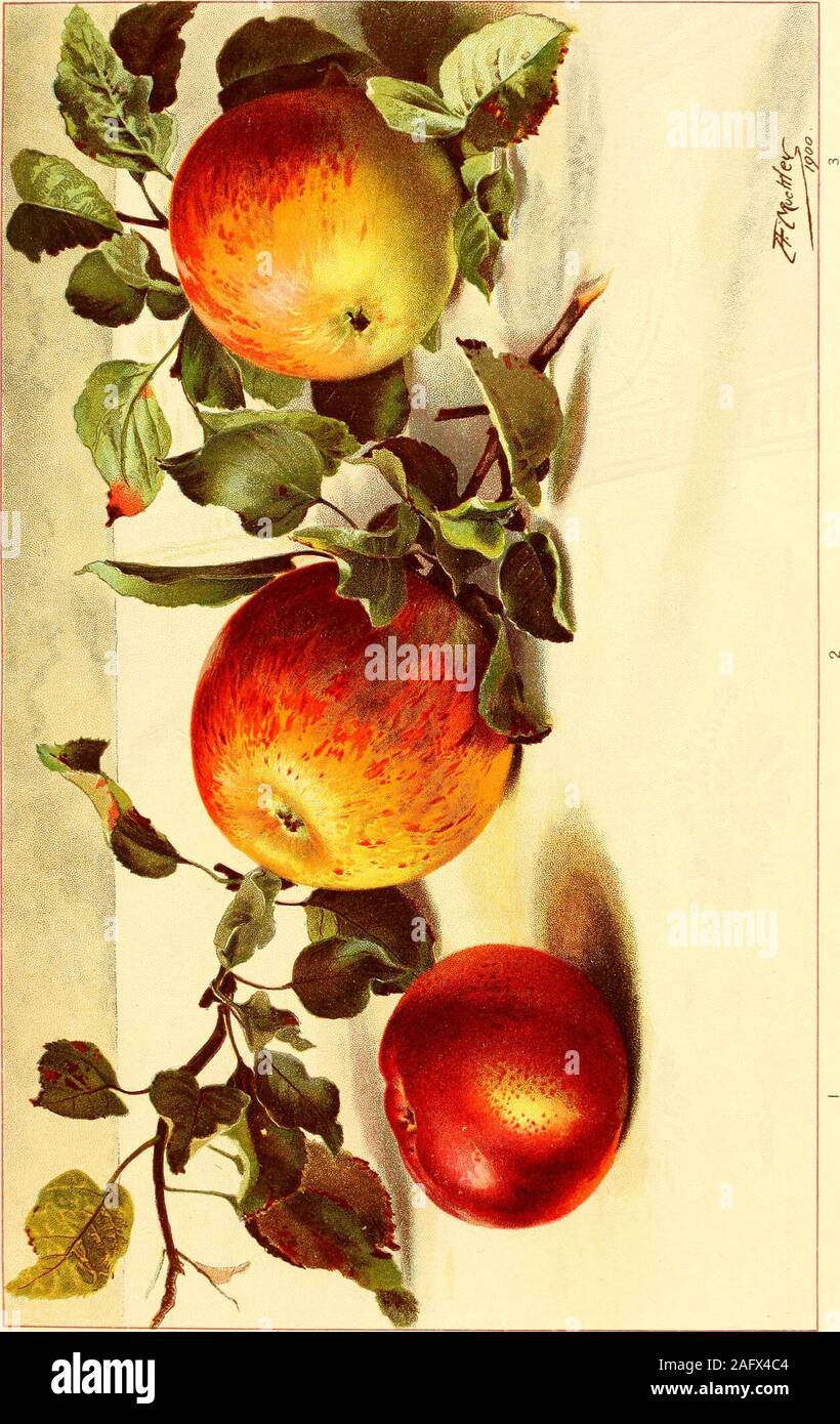 Best evidence of evolution hi-res stock photography and images - Alamy