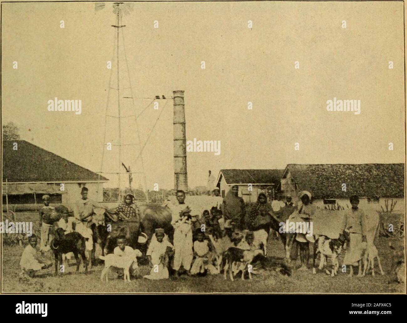 Starving creatures hi-res stock photography and images - Alamy