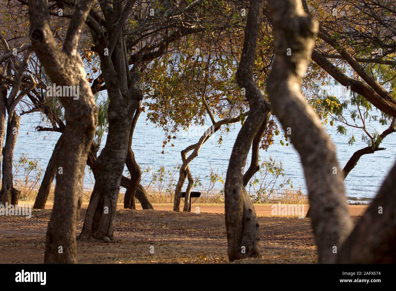 Loskop Dam, South Africa Stock Photo - Alamy