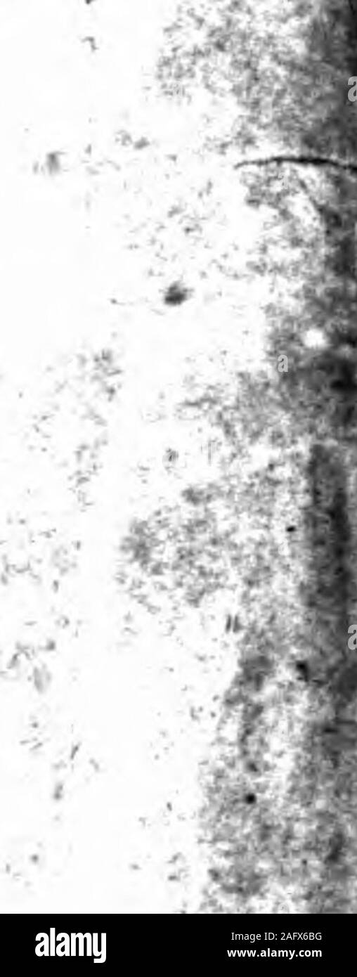 Un ber Black and White Stock Photos & Images - Alamy