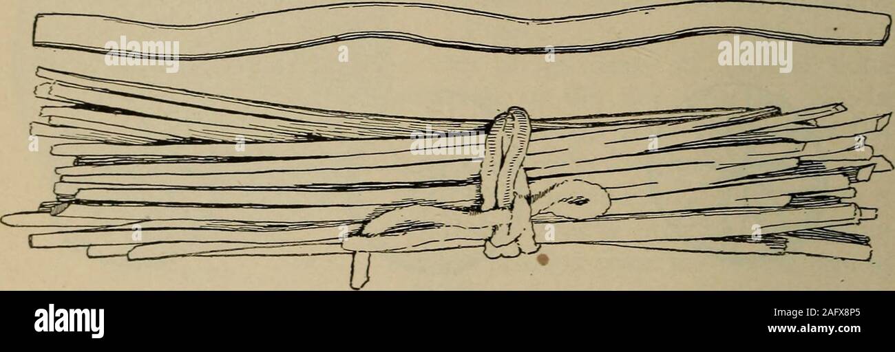 Archwology hi-res stock photography and images - Alamy